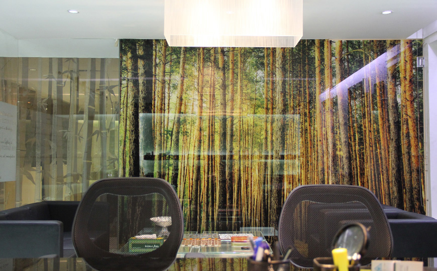 Printed Glass Designs | Windows | Printed Glass Doors - Qatar